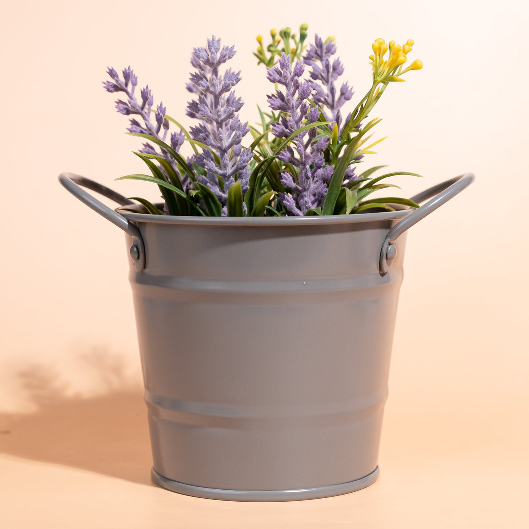 Products – Page 2 – Beyond+